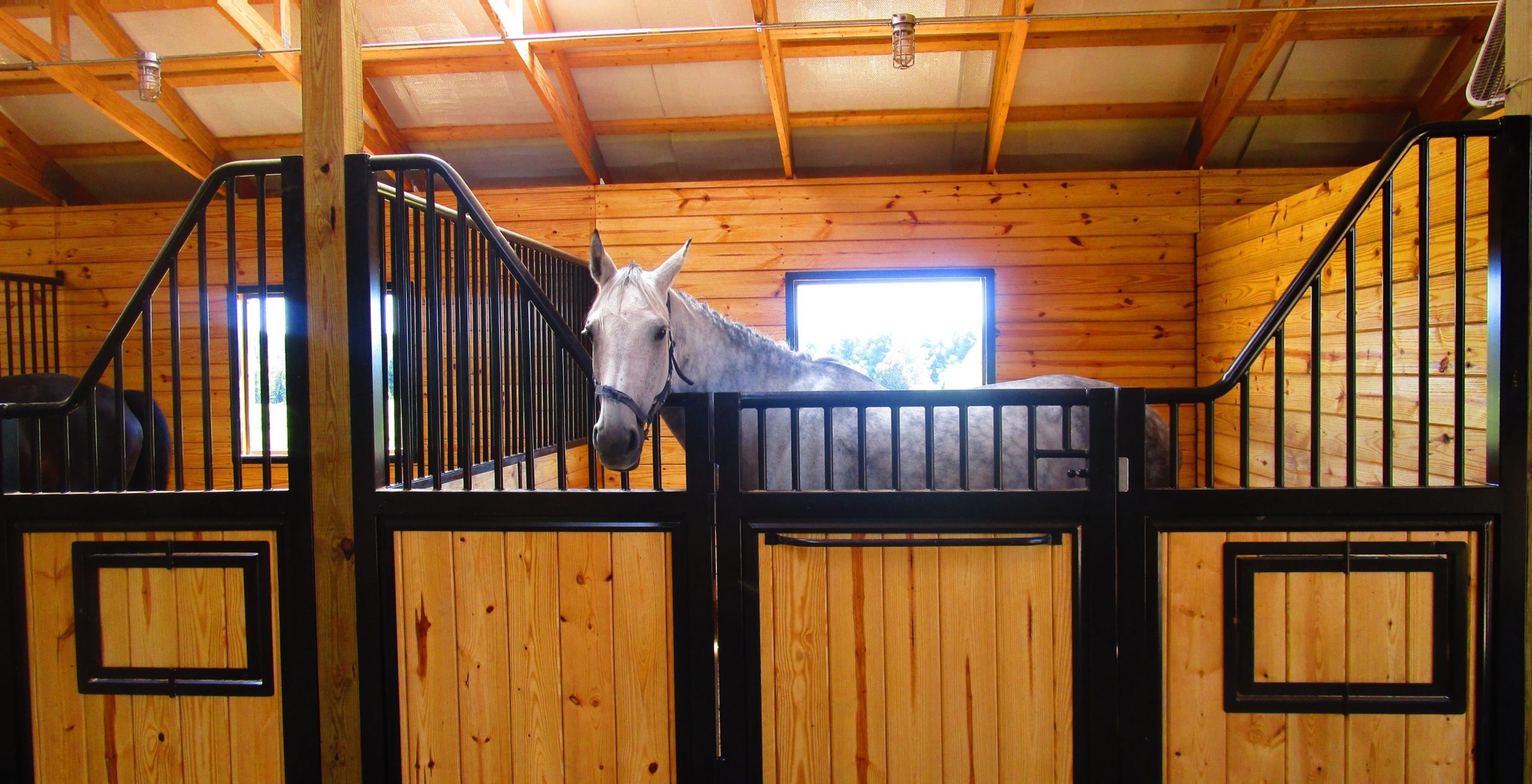 Premium Horse Stalls & Barn Doors | Sunset Valley Metalcraft