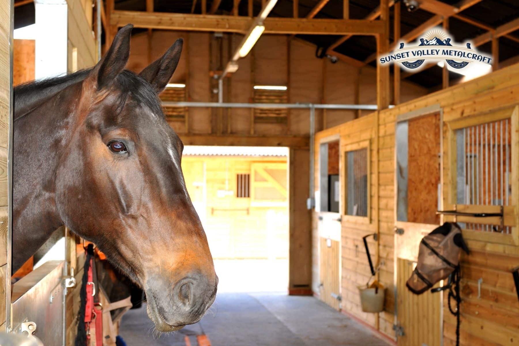 The Ultimate Guide to Keeping Your Horse Comfortable and Safe with ...