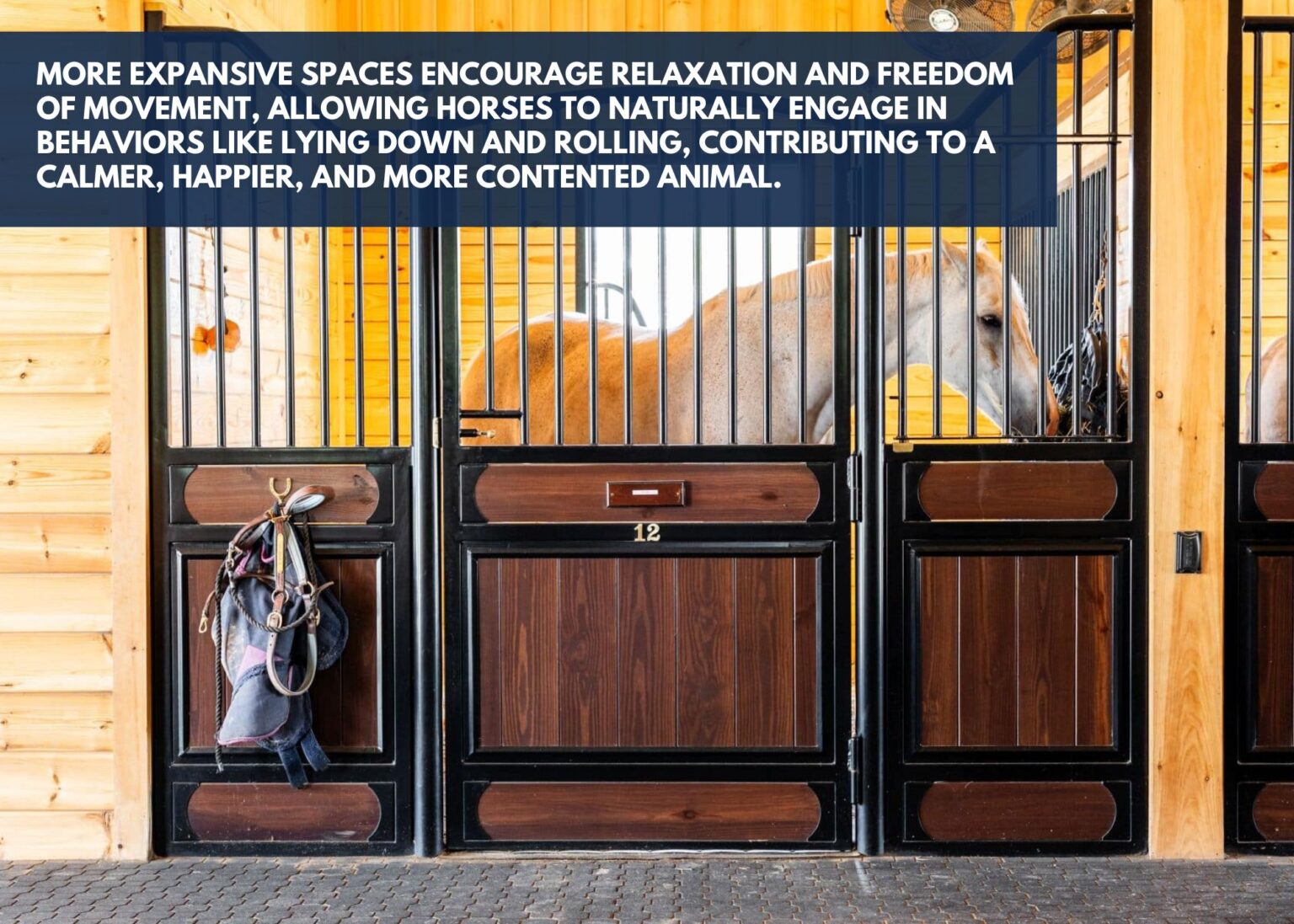 Is Your Horse’s Stall Big Enough? The Impact of Space on Equine Well ...